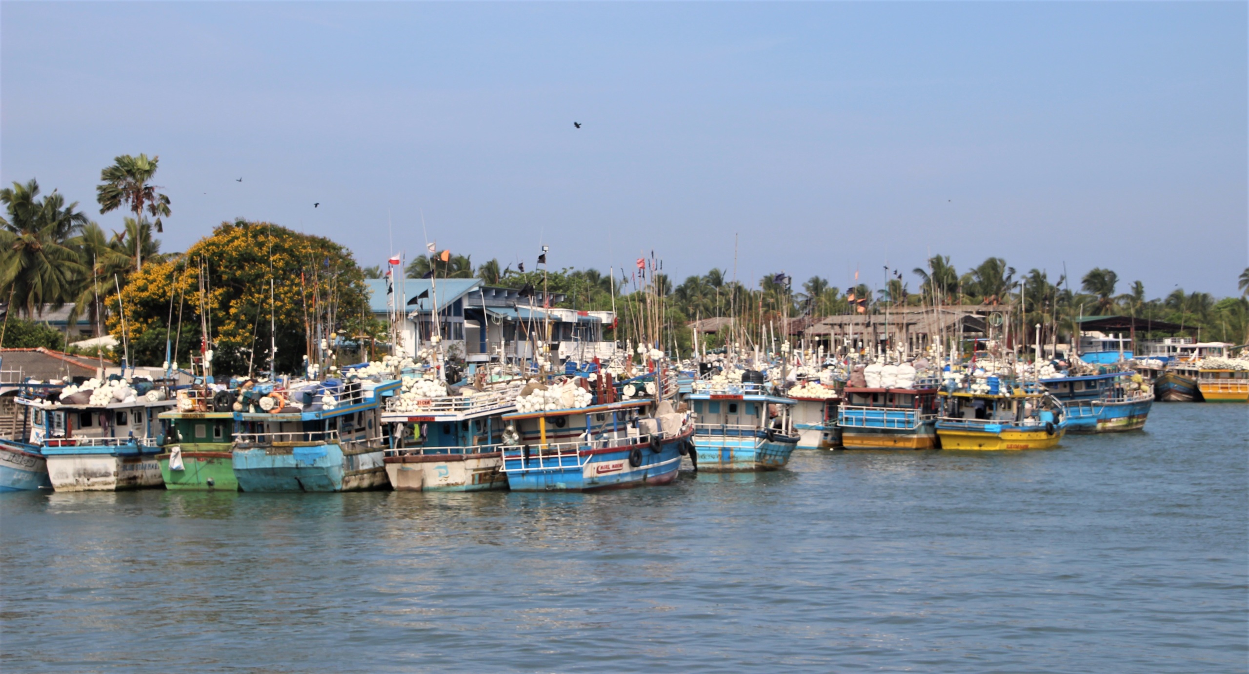 Ceylan - ContribCity